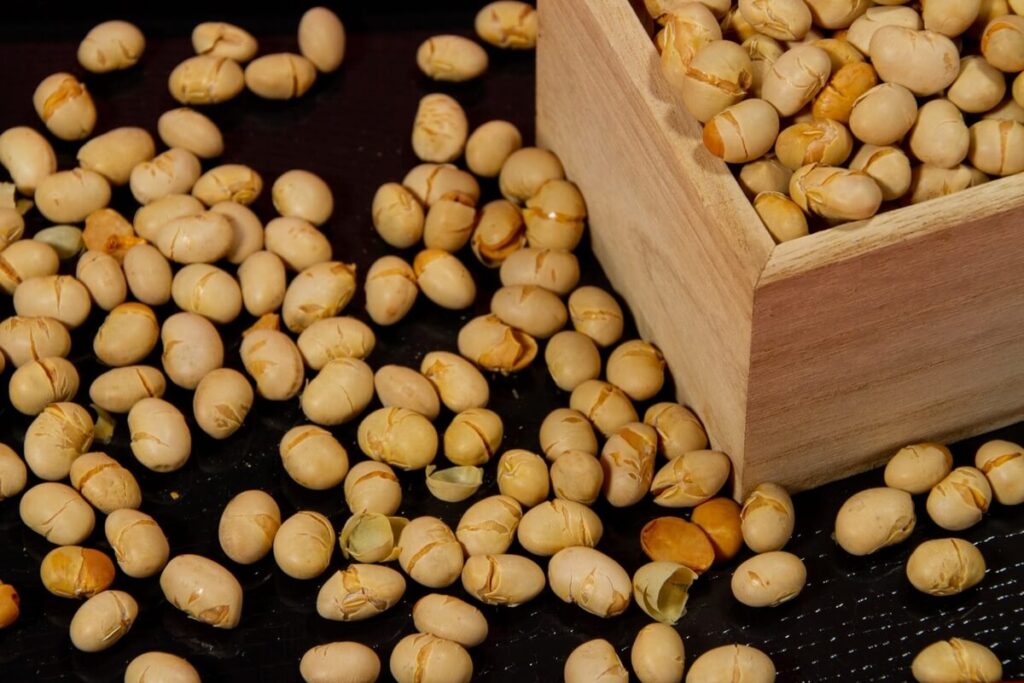 豆は歳の数だけ食べる？節分豆まきと健康の秘密。｜健栄 さくら台薬局｜健栄薬局